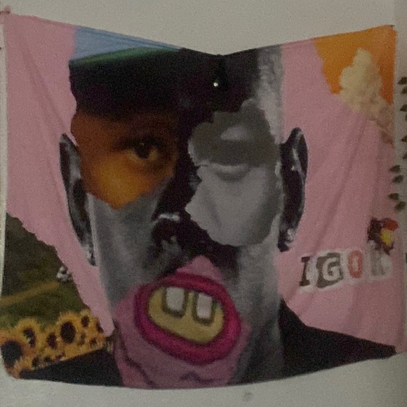 Amazon | Wall Decor | Tyler The Creator Tapestry | Poshmark